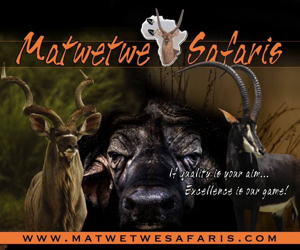 Matwetwe Safaris – South Africa Outfitters Group